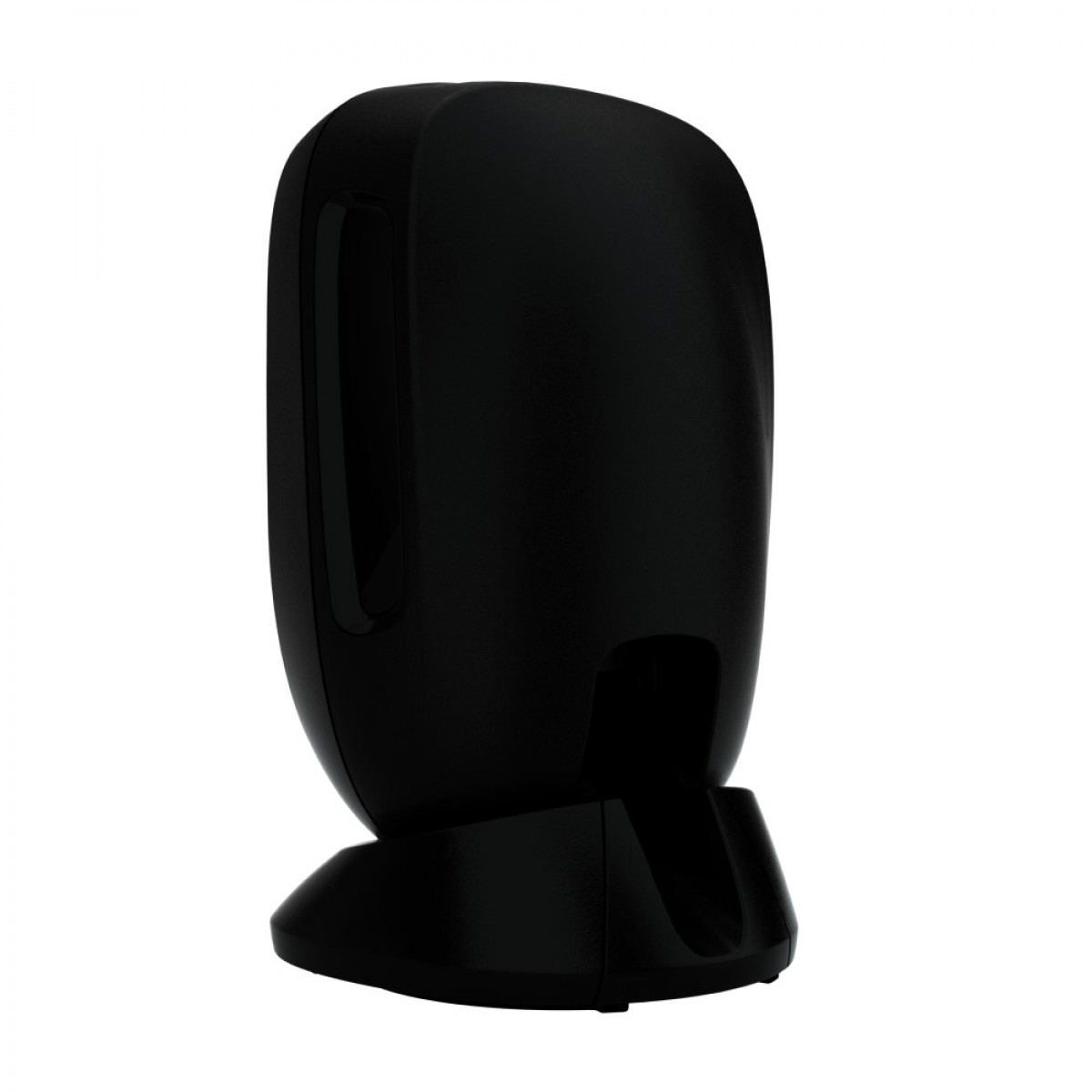 DS9308 Scanner 1D/2D Infopos